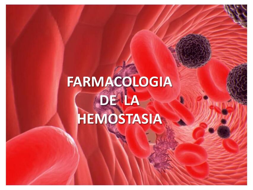 HEMOSTASIA UBA | Rocio Belen Vecchio | uDocz