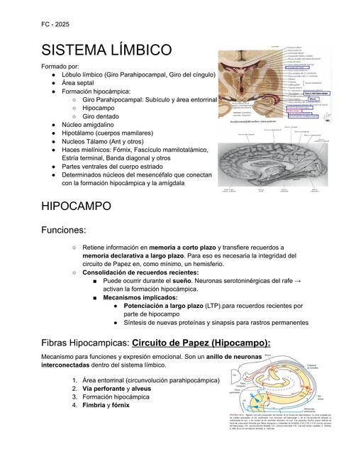 SISTEMA LÍMBICO- Resumen Barr | FC | uDocz