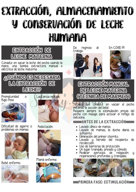 Extracción, almacenamiento y conservación de la leche materna | Antonella Rivadeneyra Ramirez ...