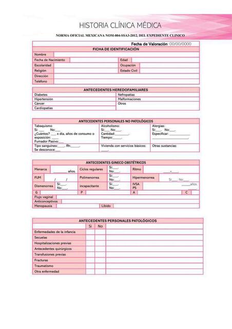 ANAMNESIS 004 | ALMA SOFIA | uDocz