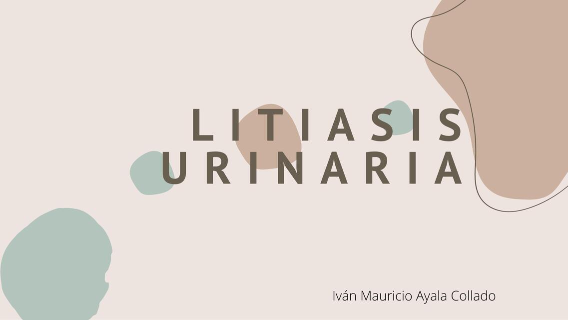 Urolitiasis | Iván Ayala Collado | uDocz