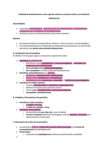 Antibióticos betalactámicos y otros agentes activo | SHERLY YESEL ...