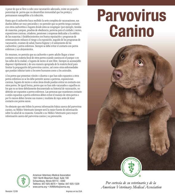 parvo brochure spanish | david garcia | uDocz
