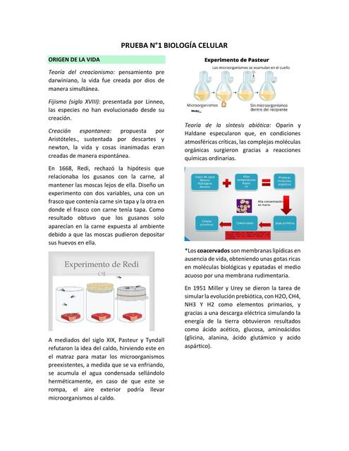 prueba n1 BIOCEL 2 | Catalina | uDocz