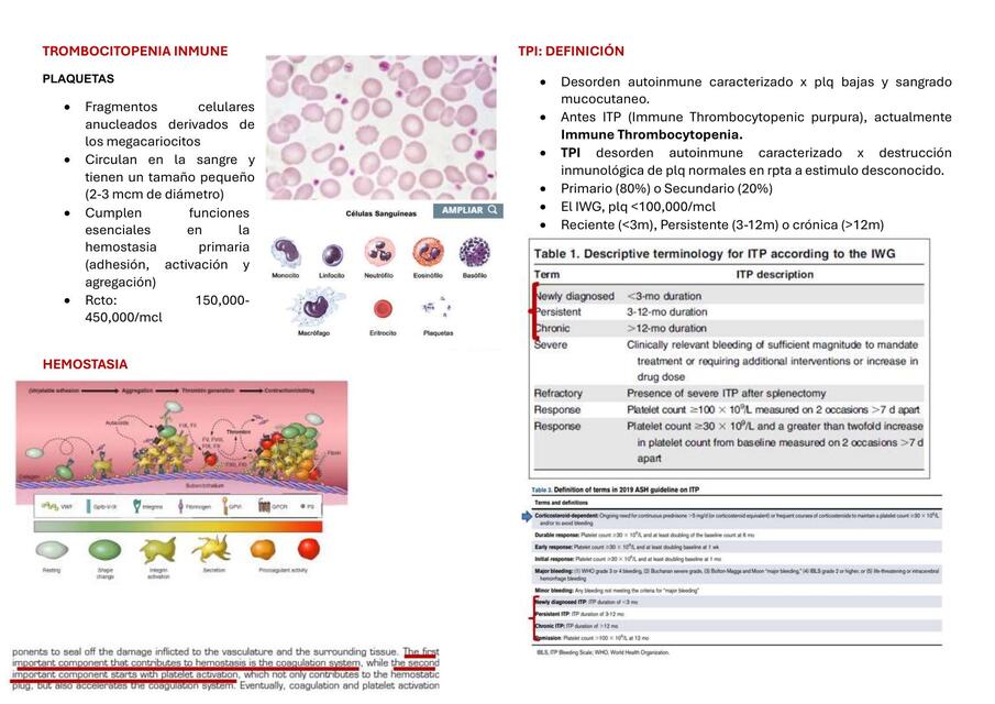 TROMBOCITOPENIA INMUNE | ISAMAR EMILIA | uDocz