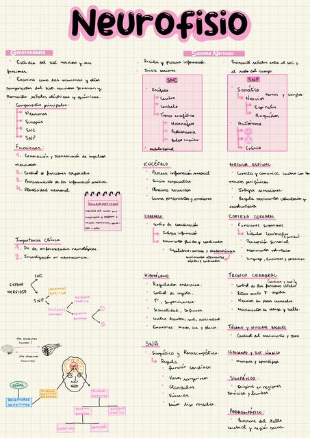 Generalidades de Neurofisio. | Iury Ranon - @Ranonzito | uDocz