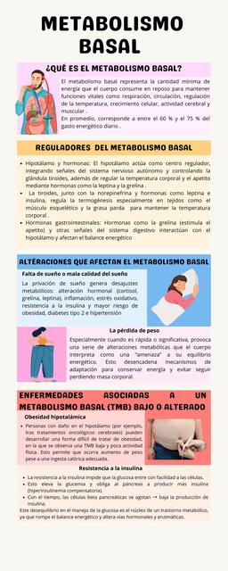 Metabolismo basal | Shirley Dayana Rueda Moncada | uDocz