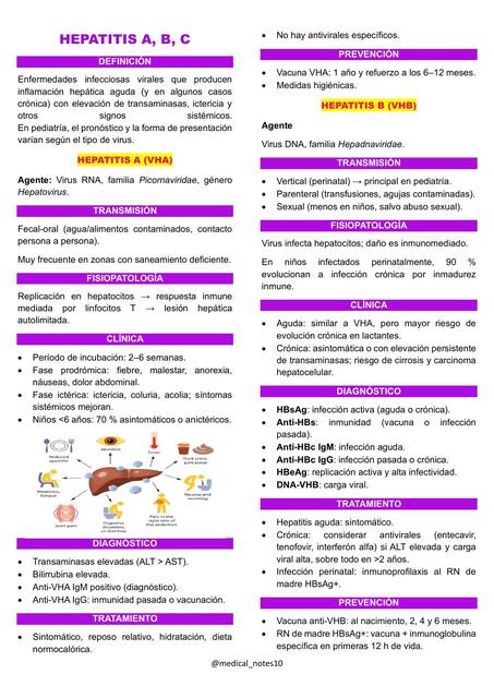 HEPATITIS A B C | MEDICAL NOTES | uDocz