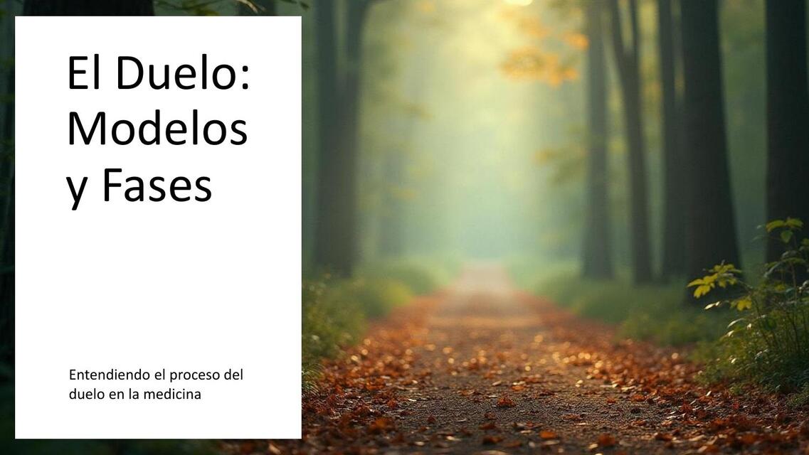 El Duelo Modelos y Fases | Juan | uDocz