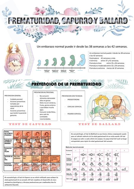 Resúmenes de Test de Capurro | Descarga apuntes de Test de Capurro