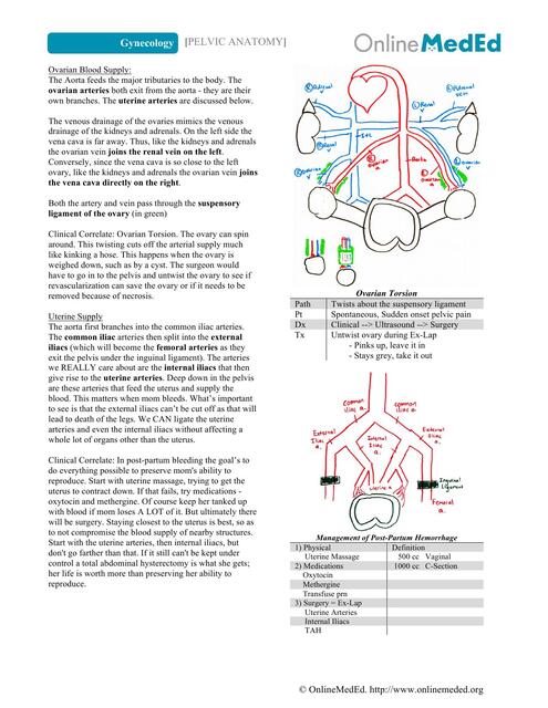Gynecology Pelvic Anatomy | Juan Cedeño R. | uDocz
