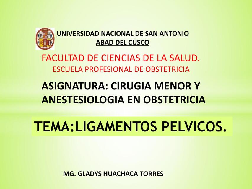 LIGAMENTOS PELVICOS | Saray Cardenas | uDocz
