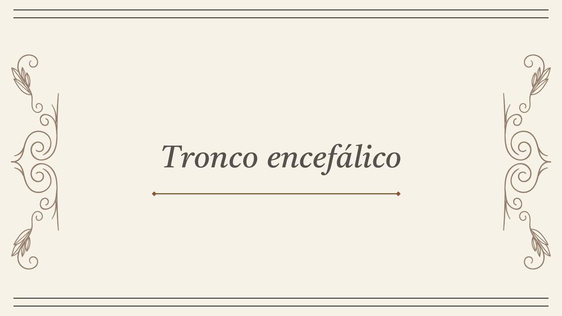 Tronco encefálico | aide lilian | uDocz