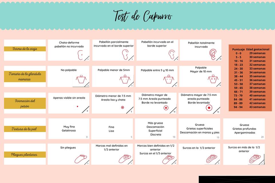 test de Capurro | Test de Capurro | Medicina | uDocz