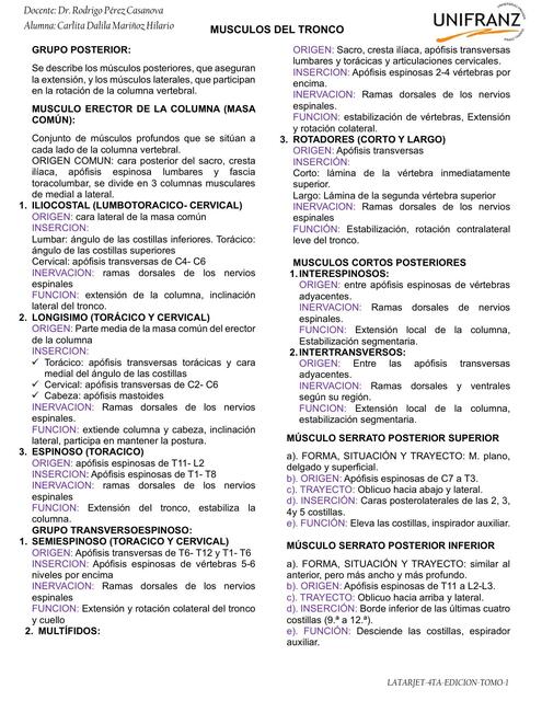 RESUMEN LATARJET MUSCULOS DEL TRONCO POSTERIOR | carlita | uDocz