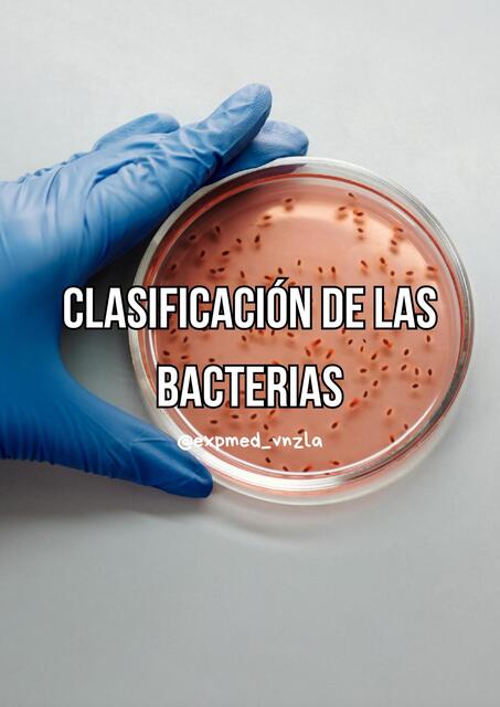Clasificación de las Bacterias | Experiencia Médica | uDocz