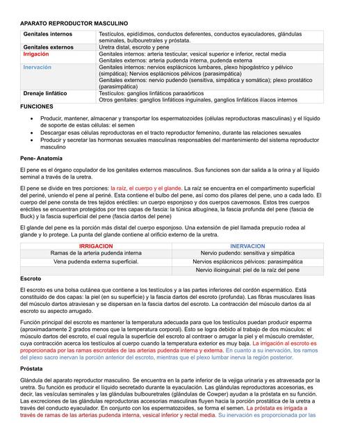 APARATO REPRODUCTOR F Y M | Kevin Yoel Serrano Avila | uDocz