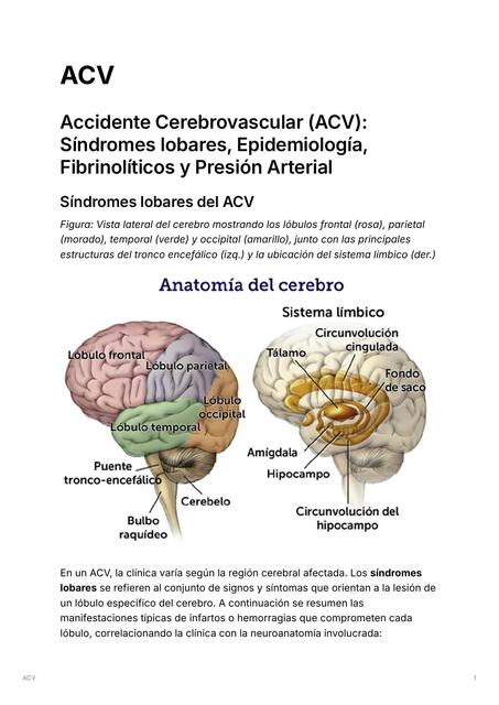 ACV | Nahuel Benitez | uDocz