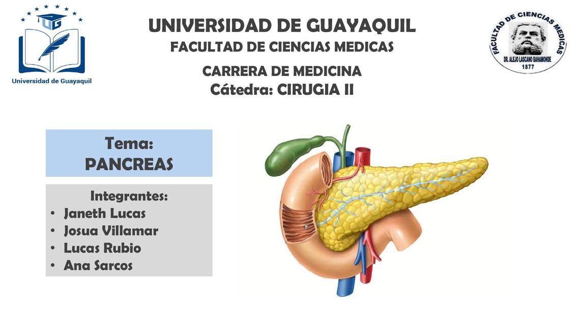 PATOLOGIAS PANCREATICAS_ PANCREAS: CATEDRA CIRUGIA | Janeth Lucas | uDocz