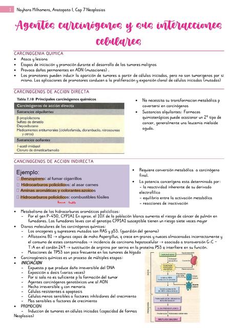 Robbins CAP 7 CARCINOGENOS | Nayhara Milhomens | uDocz