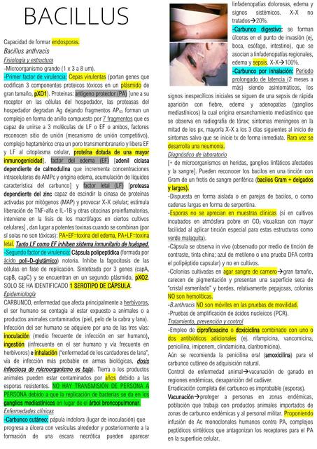 BACILLUS | Luisana Aneth CR | uDocz