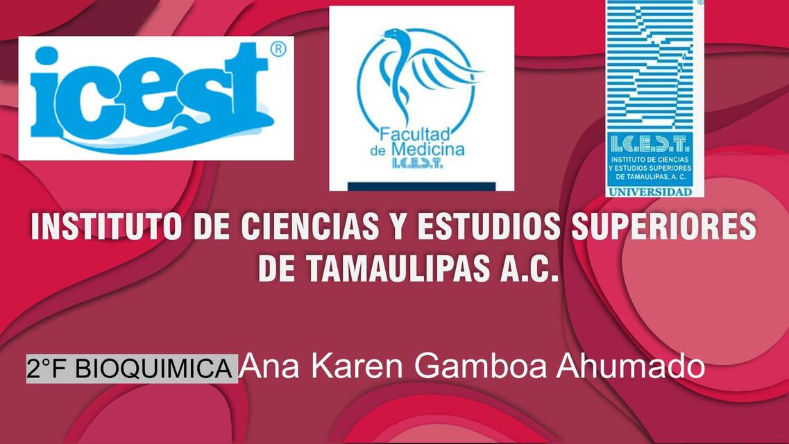 Elementos formes de la sangre bioquimica2P3E1 | MAXY AGUILAR | uDocz