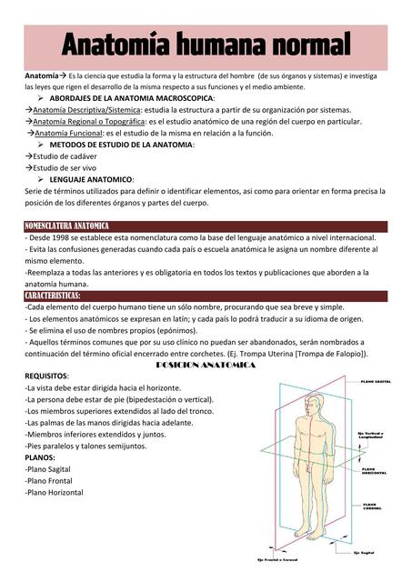 Anatomía Humana Normal | Analuz Gonzalez | uDocz