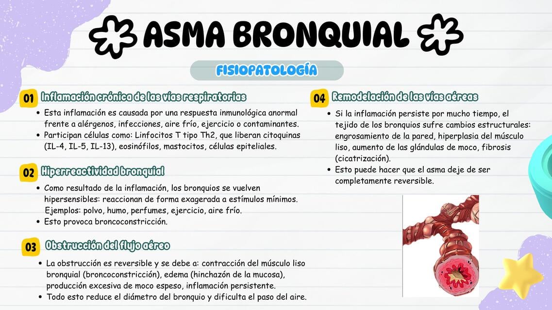FISIOPATOLOGÍA DEL ASMA BRONQUIAL EN ADULTOS | MARLEY ROSALIND ELIZAMA ...