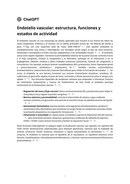 Endotelio vascular estructura funciones y estados | Meli | uDocz