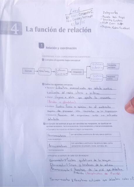 cyt | Dayana. A | uDocz