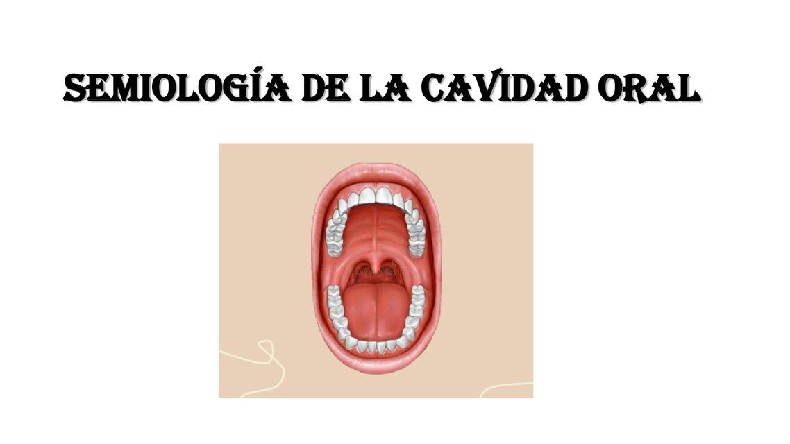 Presentación1 | bri | uDocz