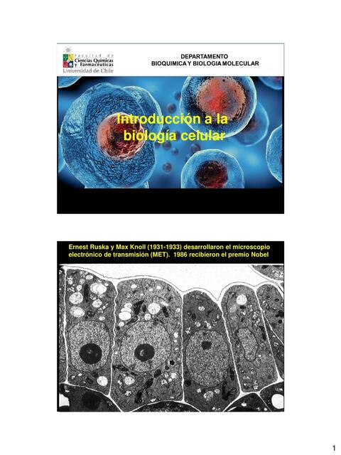 Clase 1 Origen y evoluci n de la c lula | Cristobal | uDocz