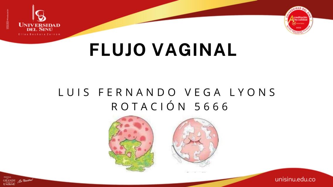 Flujo Vaginal | Jesús Orozco M | uDocz