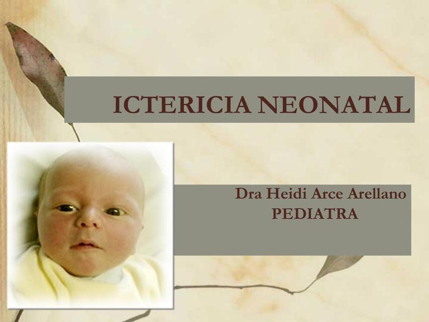 ictericia neonatal 1 | Wender | uDocz