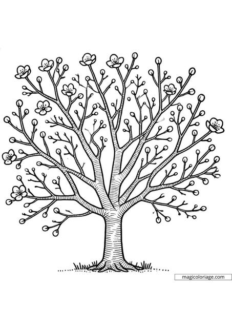 magicoloriage | Mayra | uDocz