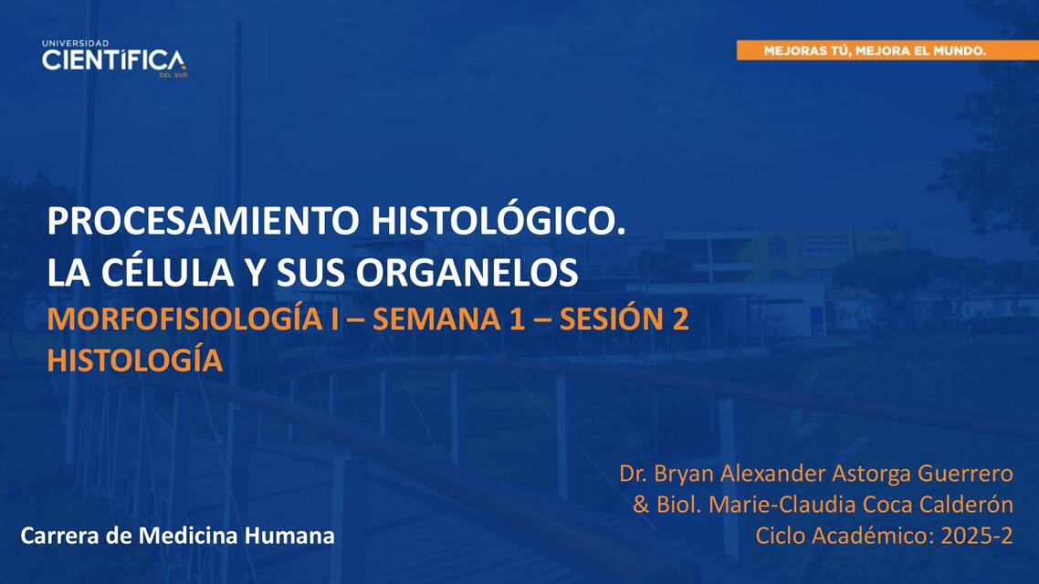 PPT MORFOFISIOLOGÍA I SEM 01 SESIÓN 02 2 | Alisson Guerrero | uDocz