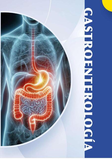 Manual Gastro | Alfonso Quito | uDocz