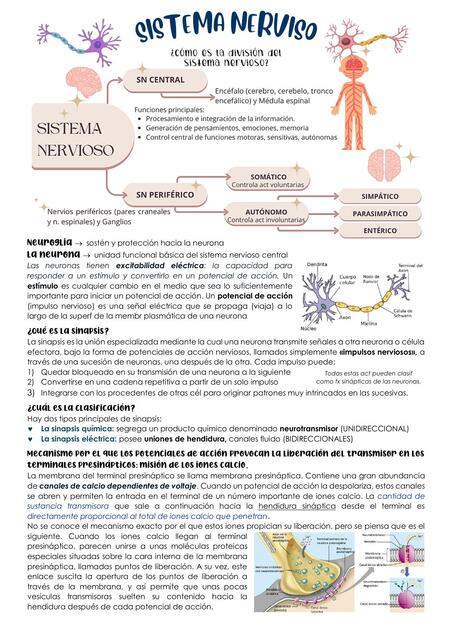 resumen 1clase fisio II | Jose | uDocz