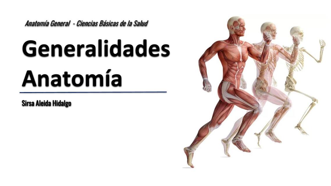 Generalidades Anatomia Clase 1 | Nikol Villa | uDocz