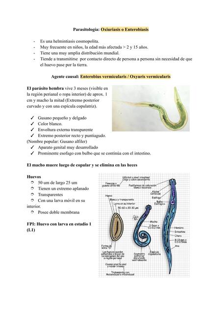 Parasitología Oxiuriasis o Enterobiasis | Sorghey Mantilla | uDocz