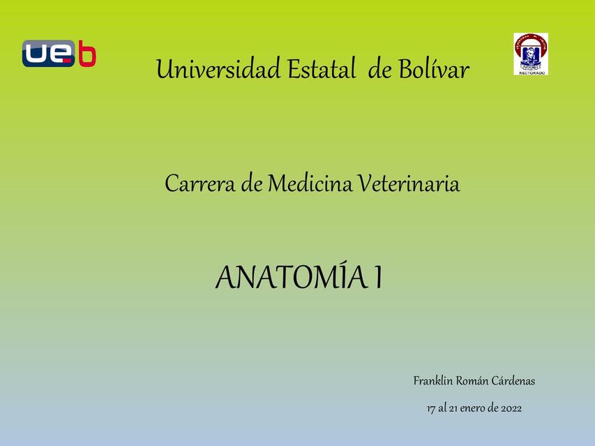 Anatomía I Semana 9 17 21 01 | Arlex | uDocz