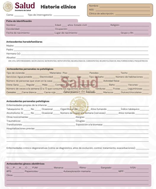 Formato de historia clínica secretaria de salud SSA para Mip internos | Javier Rios | uDocz