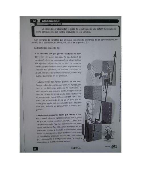 ELASTICIDAD | Camila | uDocz
