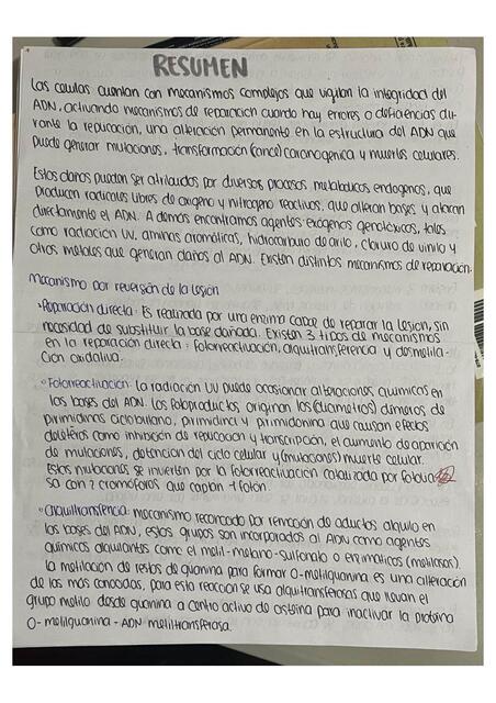 Tarea bioqui 14 | Paula | uDocz