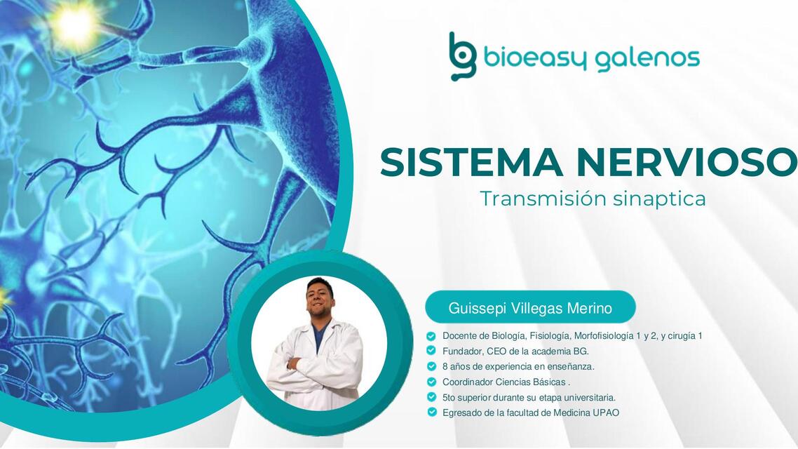 SEMANA 2 SINAPSIS NEUROTRANSMISORES SENSIBILIDAD | Arihana | uDocz