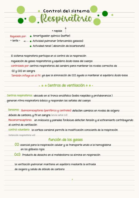 control sistema respiratorio fisiologia completo | KIMBERLY NICOLE | uDocz