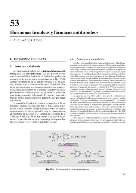 tiroides y antitiroideos | David Borja | uDocz