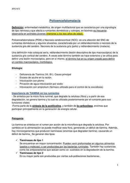 Polioencefalomalacia | daniela | uDocz