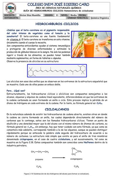 Hidrocarburos ciclicos | Magaly | uDocz