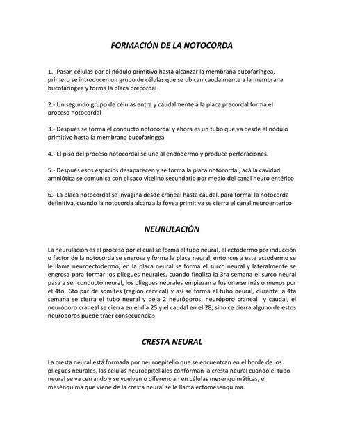 FORMACIÓN DE LA NOTOCORDA | DOMINGUEZ REGALADO | uDocz